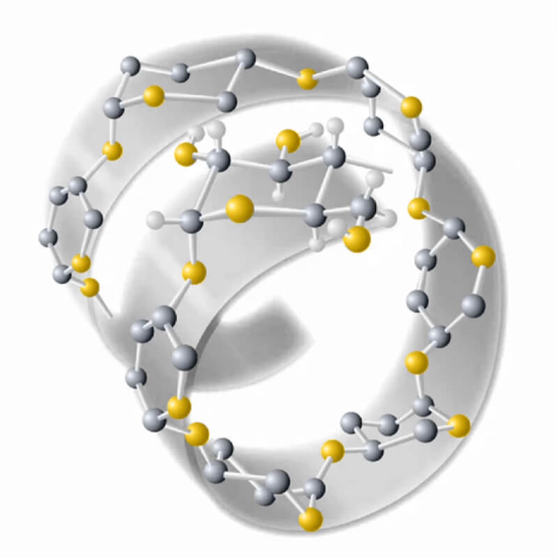 Fuel Up von Quantum Leap | Pre & Intra Workout Matrix